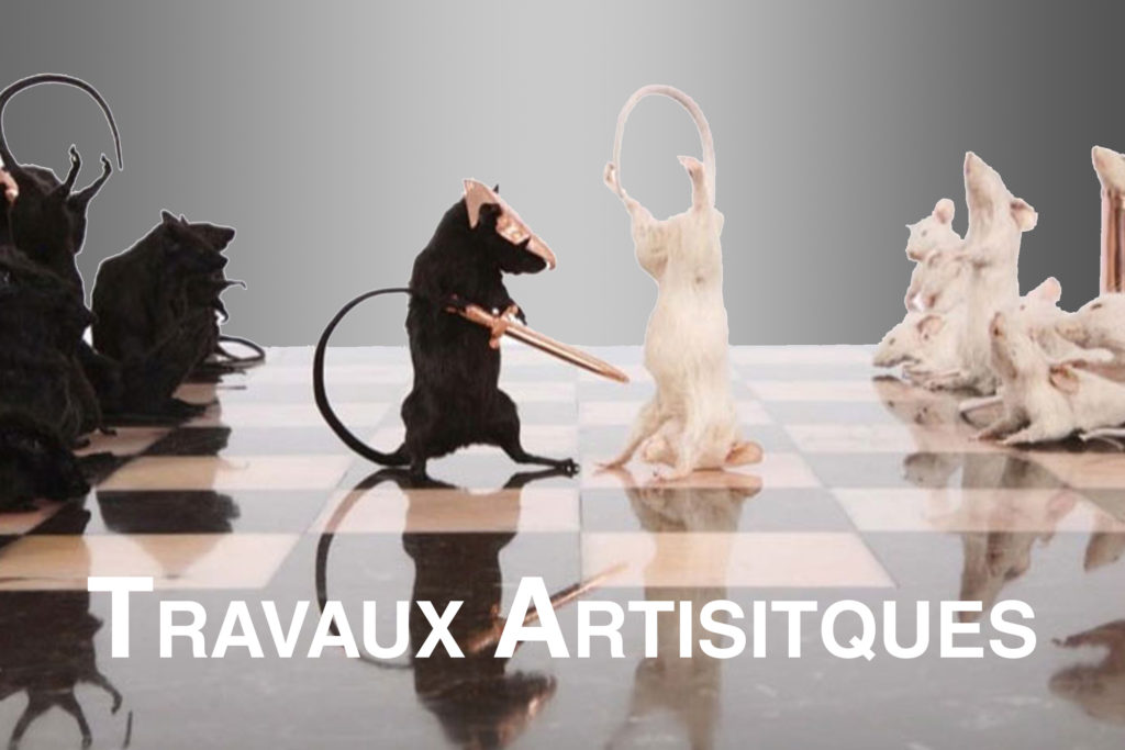 Galerie - Jacques Gilbert Taxidermiste